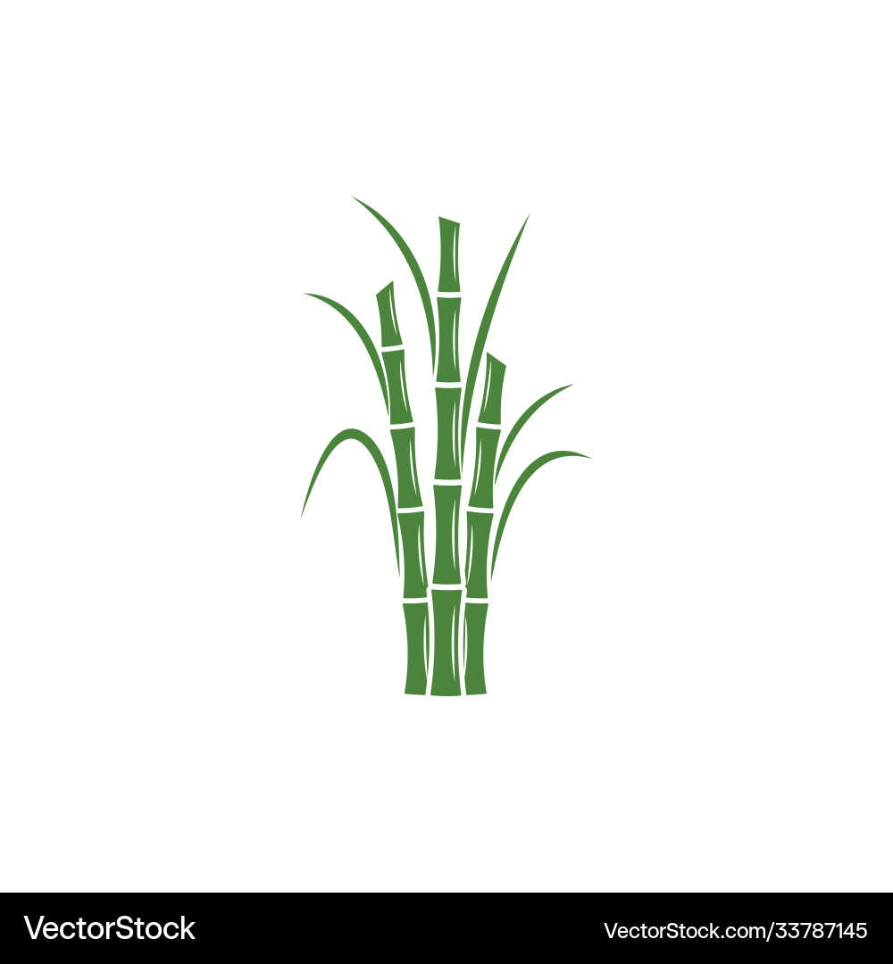 Sugar cane logo template symbol Royalty Free Vector Image