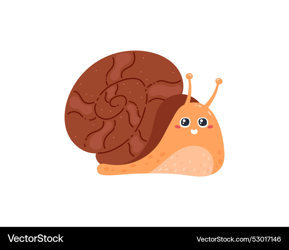 With a cute snail brown Royalty Free Vector Image