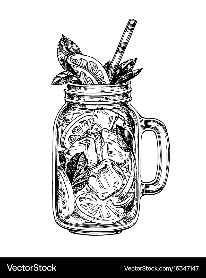 Mason Jar Lemonade Sketch Royalty Free Vector Image