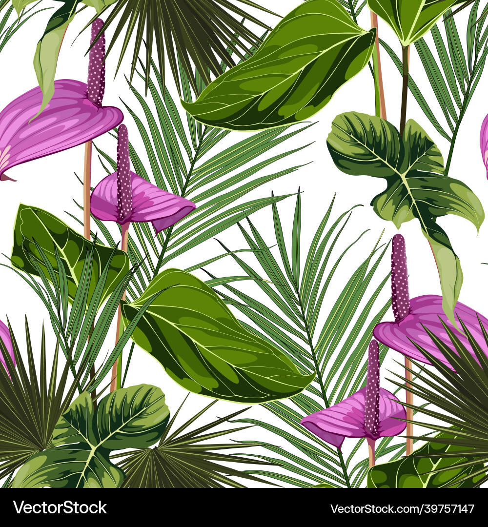 Seamless floral pattern with violet anthurium Vector Image