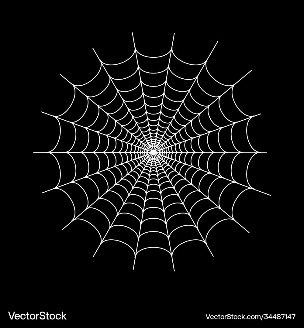 Spider Web Circle Vector Images (over 1,100)