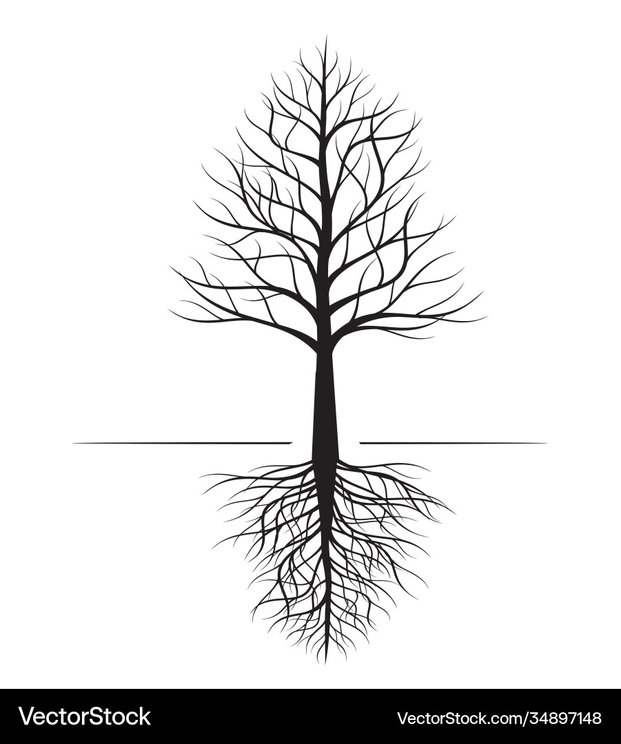 Black tree with roots outline Royalty Free Vector Image