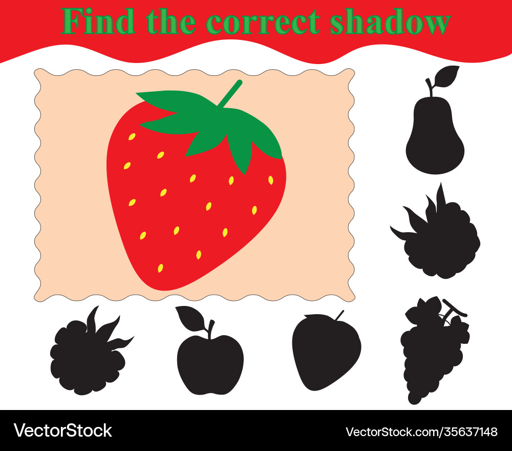 Educational game for children find correct Vector Image