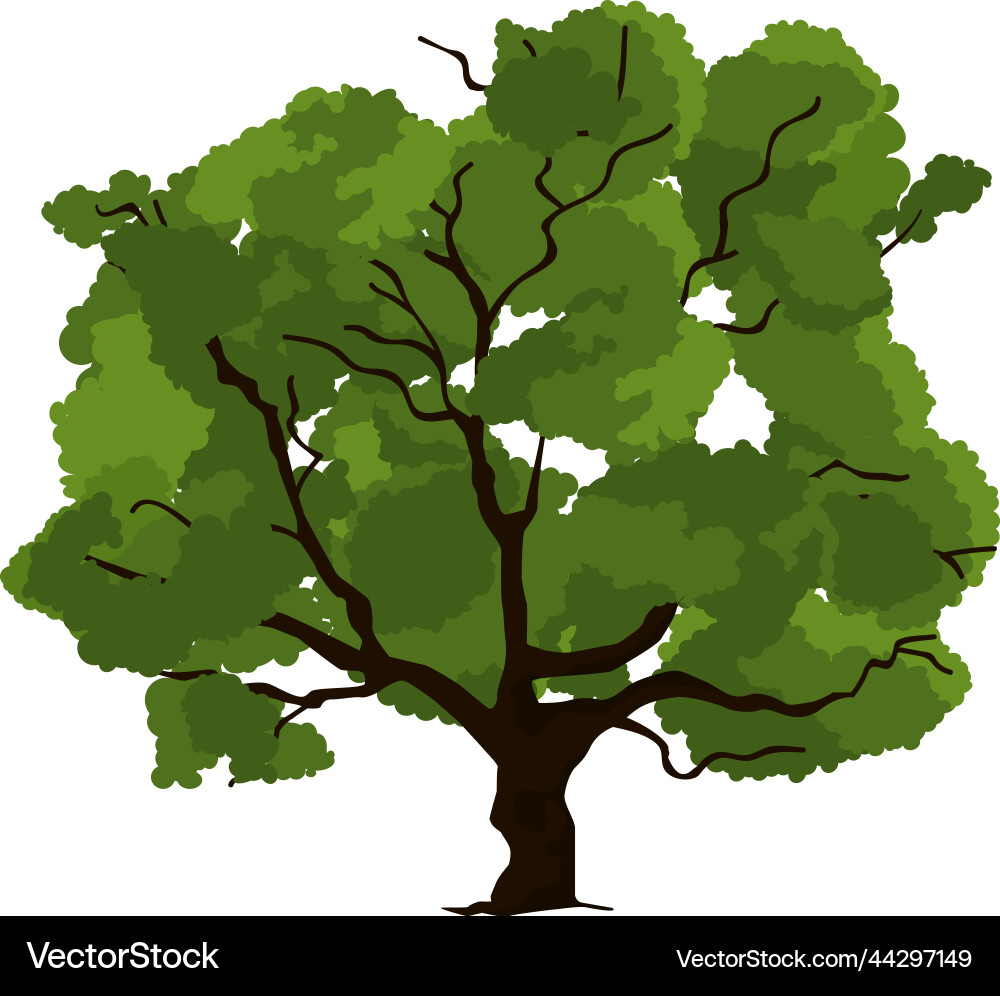 Green Oak Tree Icon - Nature Symbol Royalty Free Vector
