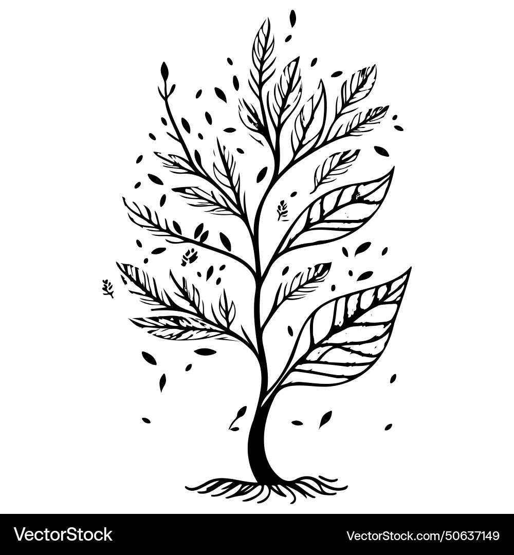 Tree half spring autumn floral sketch hand draw Vector Image