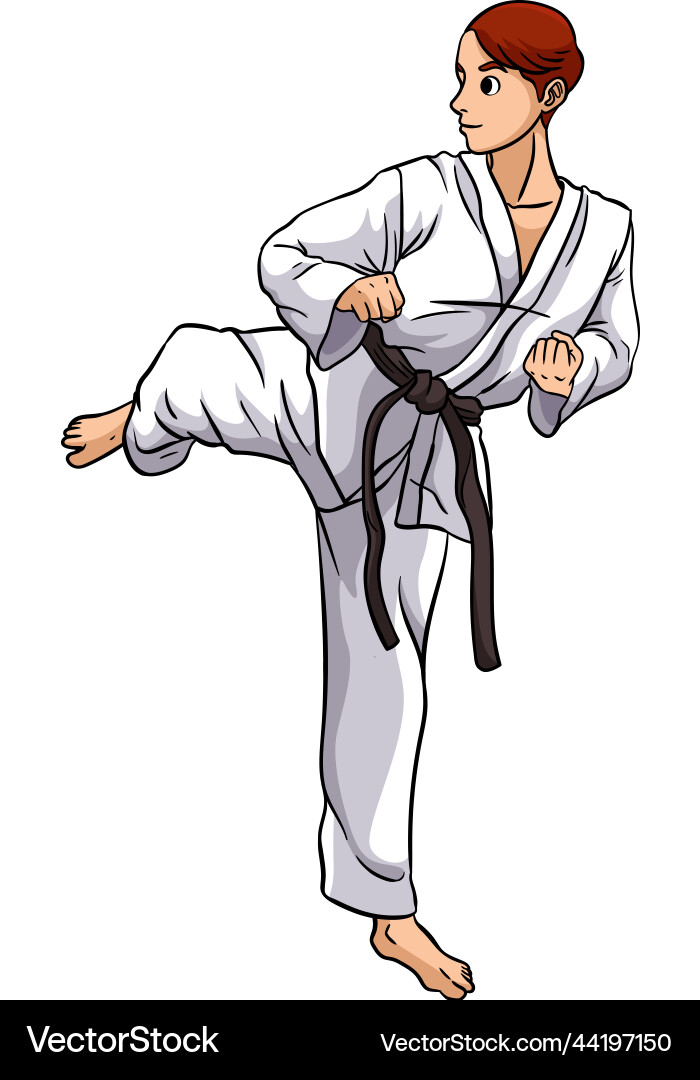 Karate cartoon colored clipart Royalty Free Vector Image