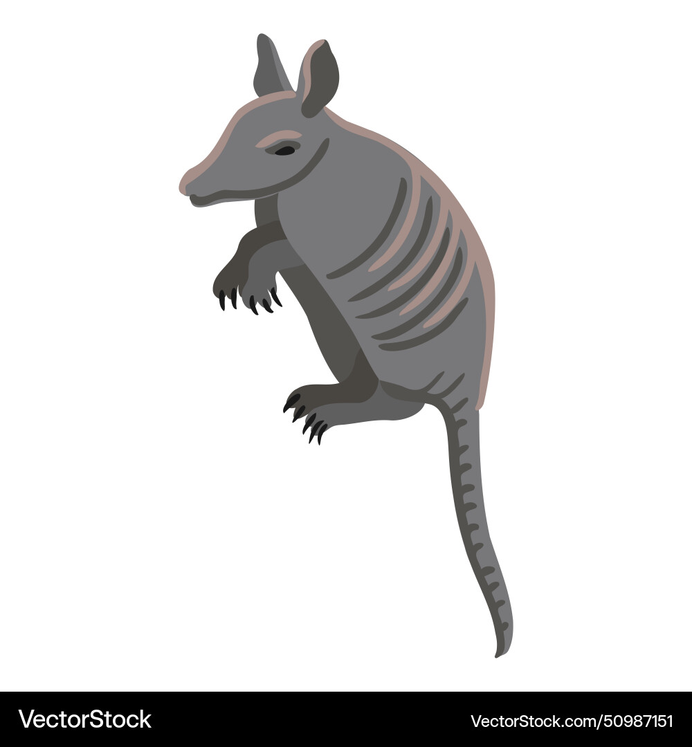 Drawing armadillo animal Royalty Free Vector Image