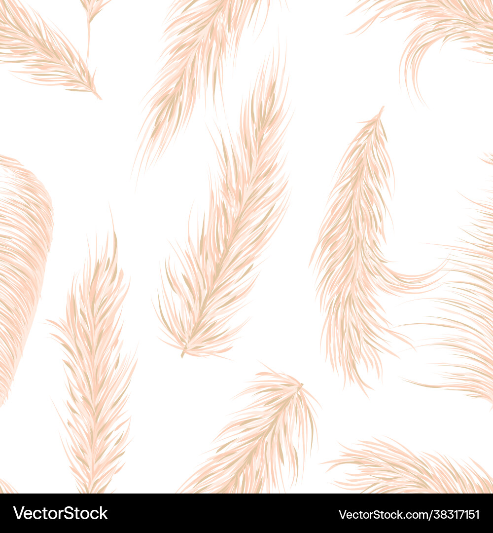 Dry pampas grass seamless pattern boho Royalty Free Vector