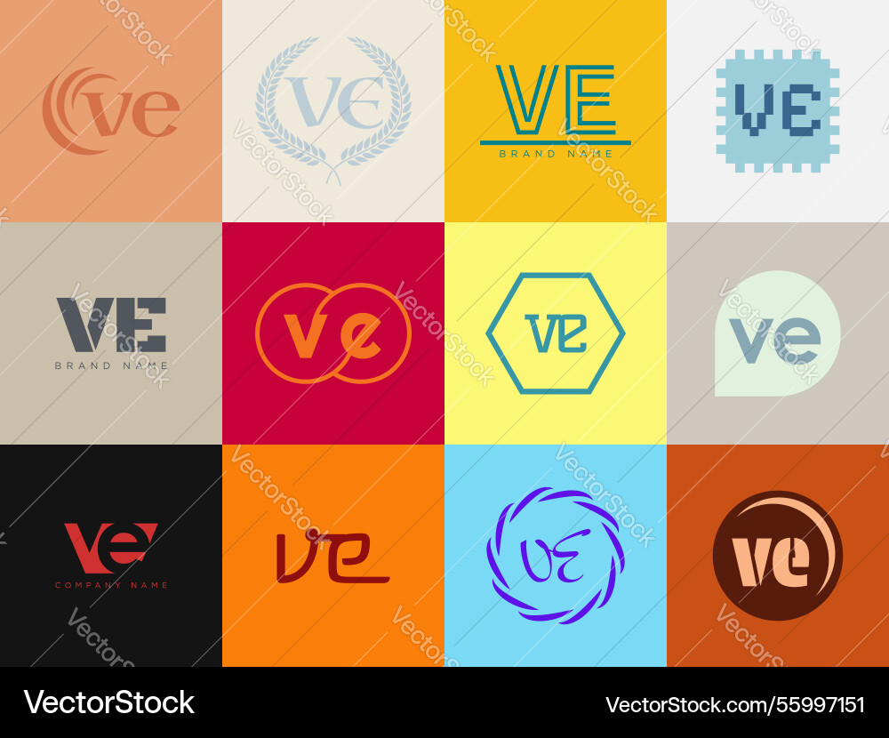 Logo company template letter v and e logotype Vector Image