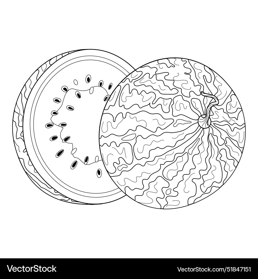 Ripe cut watermelon two halves hand Royalty Free Vector