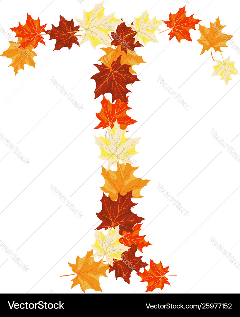 Autumn Maple Leaves Letter Royalty Free Vector Image
