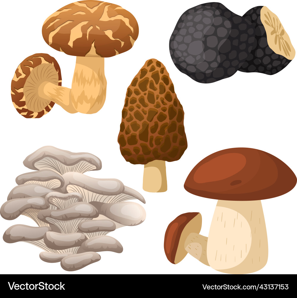 Mushroom retro set cartoon Royalty Free Vector Image
