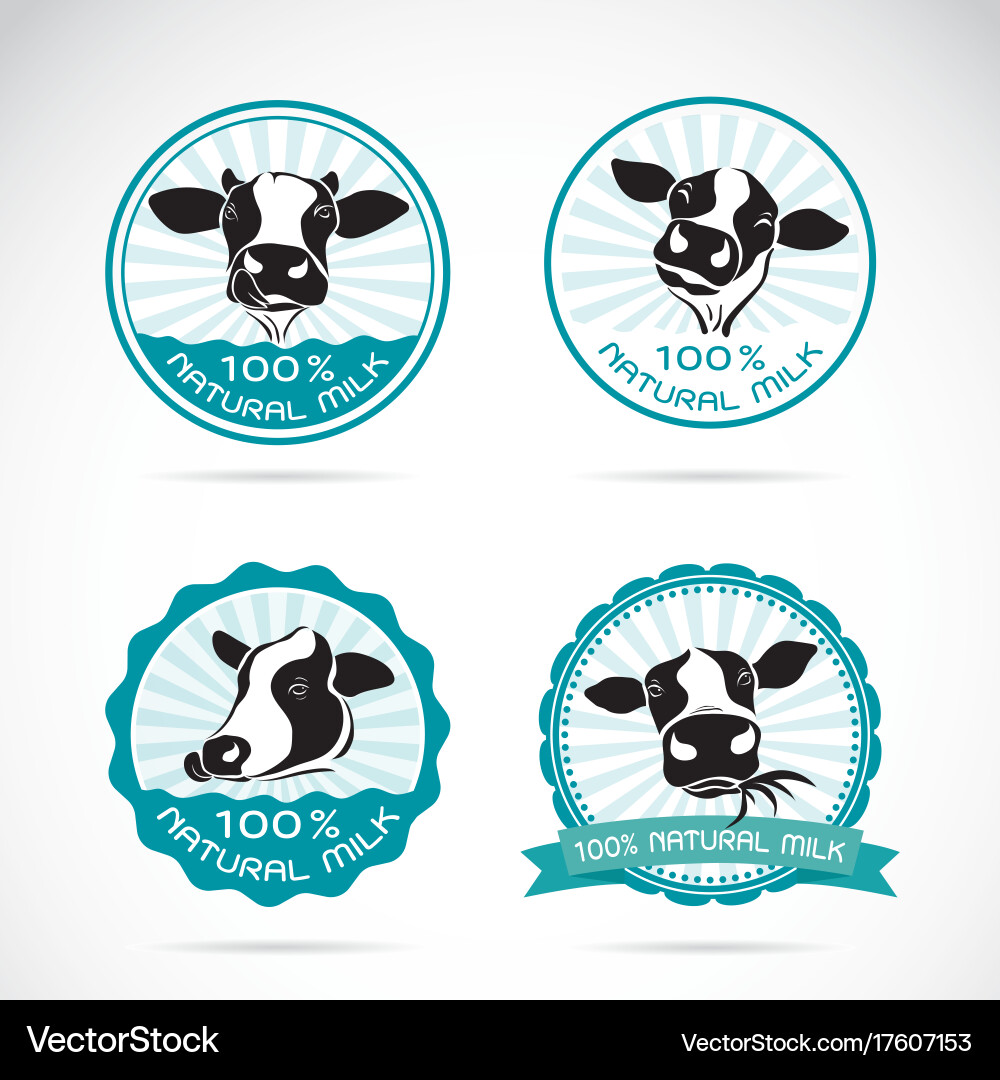 Set of a dairy cows label on white background Vector Image