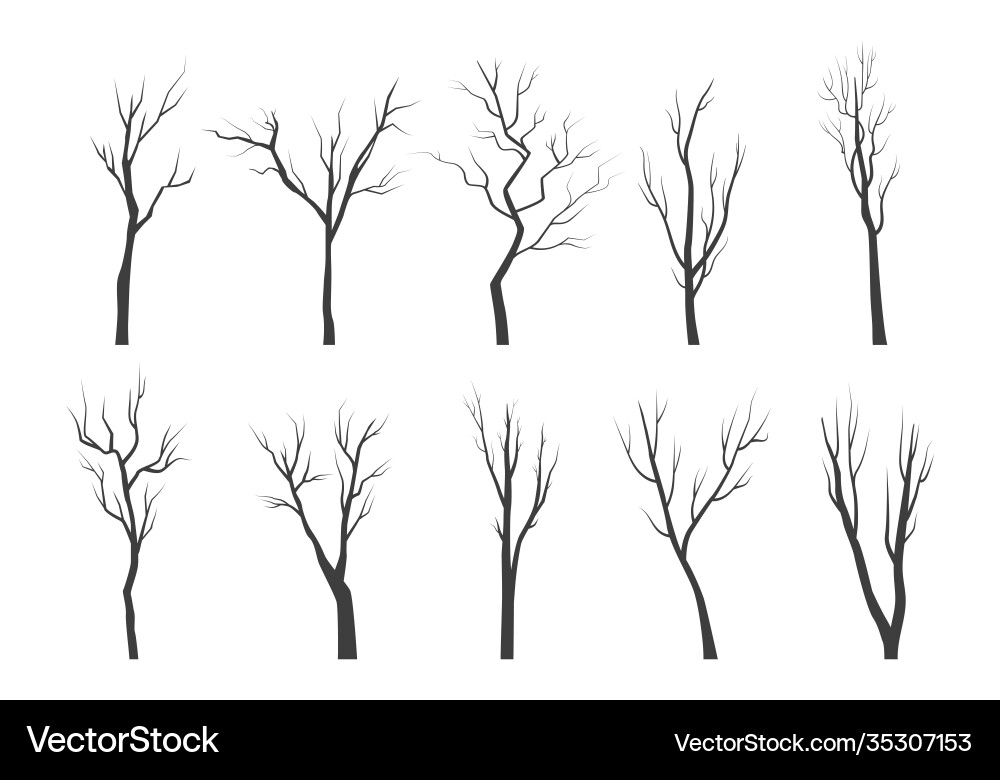 Tree branch silhouette set bare twisting stems Vector Image