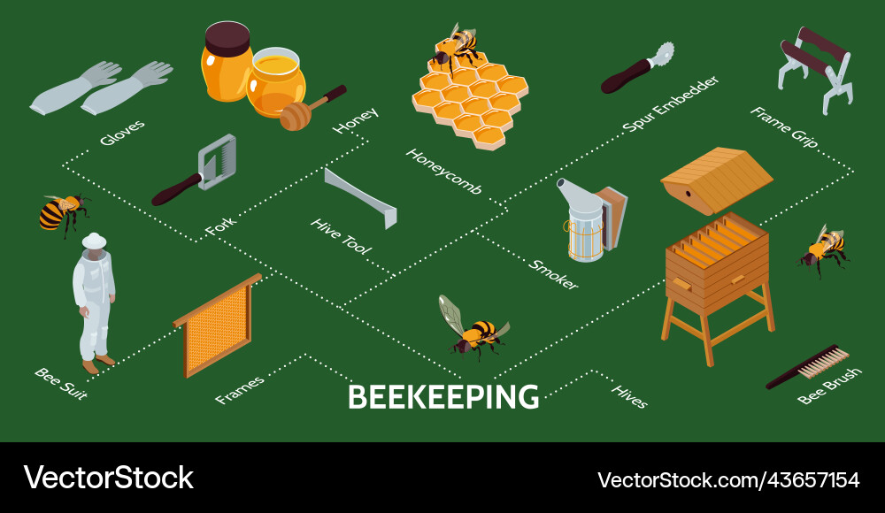Beekeeping isometric infographics Royalty Free Vector Image