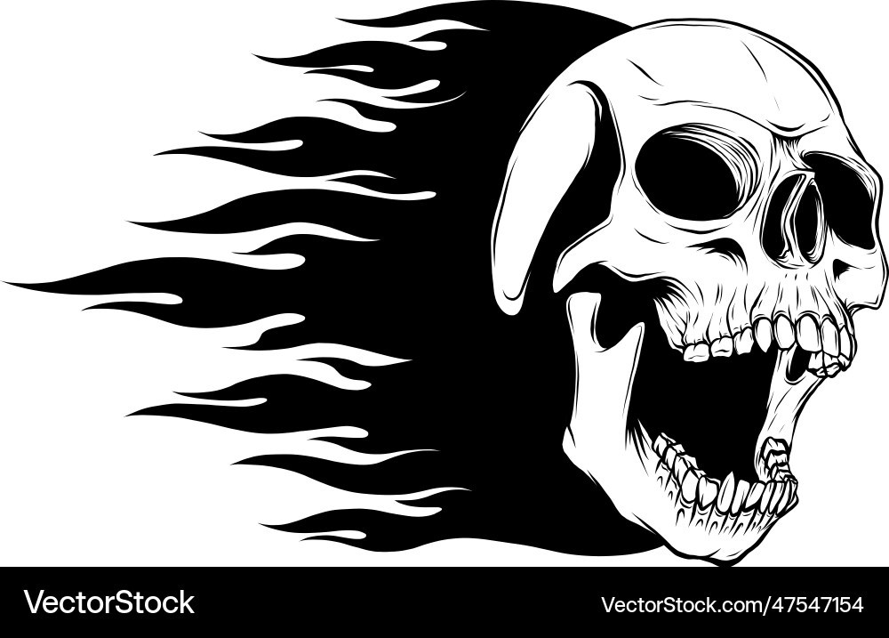 Outline human skull design Royalty Free Vector Image
