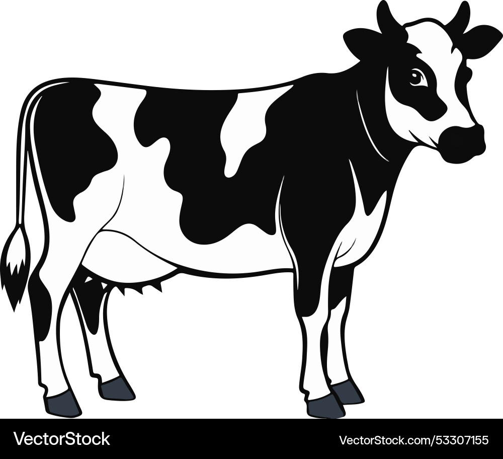 Black and white cow side view isolated imag Vector Image
