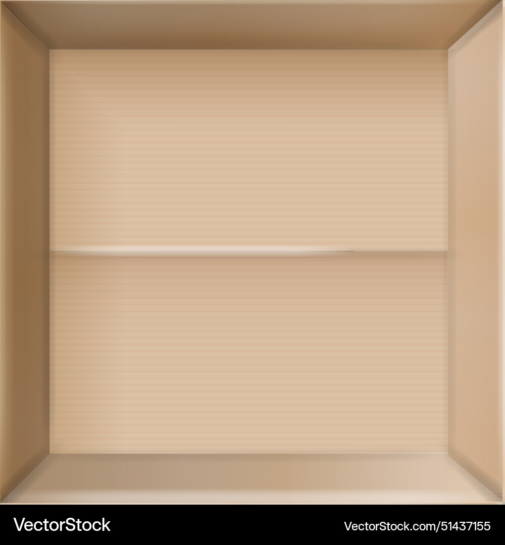 Box empty open and closed cardboard Royalty Free Vector