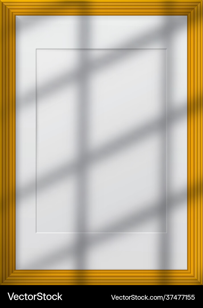 Shadow overlay effect Royalty Free Vector Image