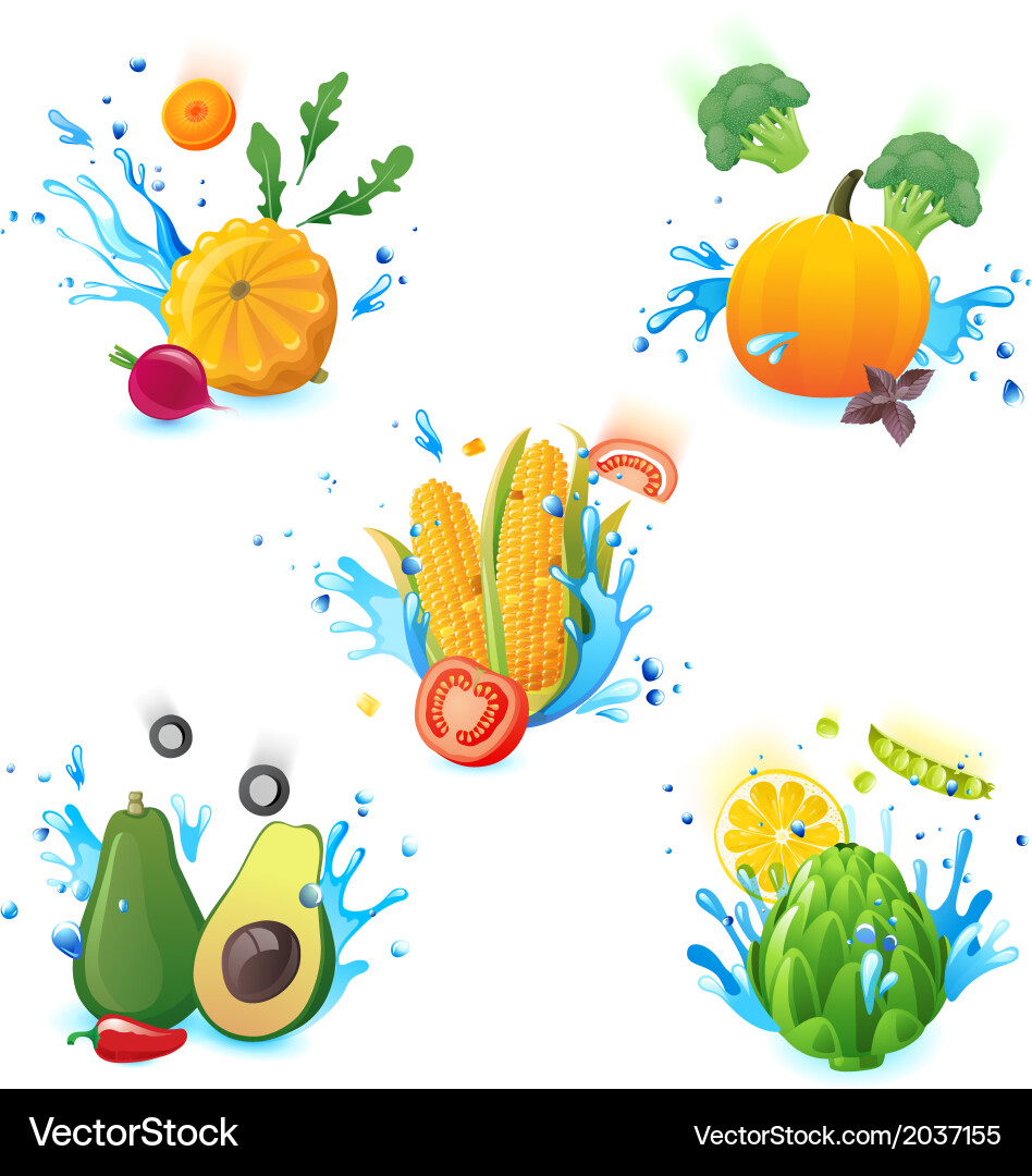 Vegetables in splashes Royalty Free Vector Image
