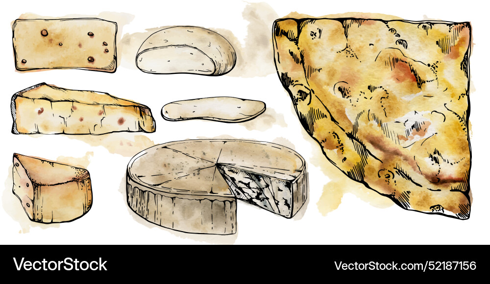 Hand drawn watercolor ink quattro formaggi four Vector Image