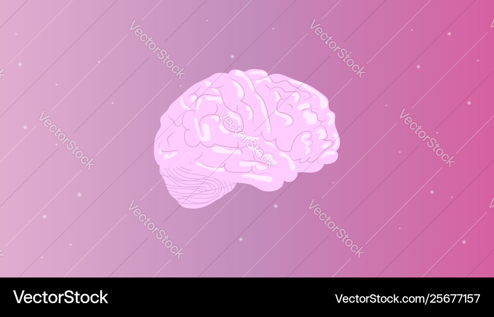 Mind Royalty Free Vector Image - VectorStock