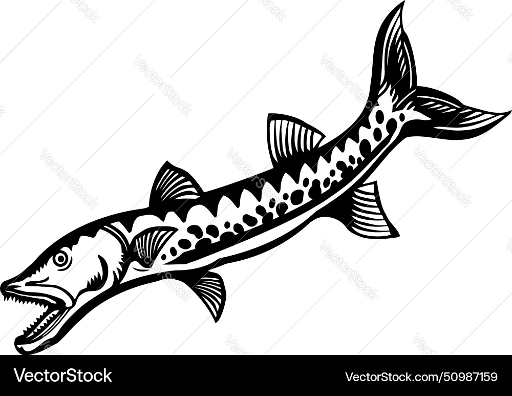 Barracuda - american fishes - logo fish Royalty Free Vector