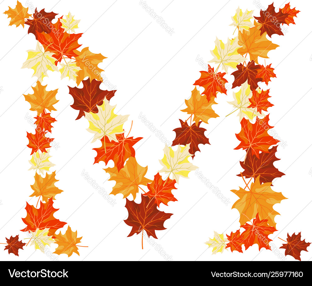 Autumn maples leaves letter Royalty Free Vector Image