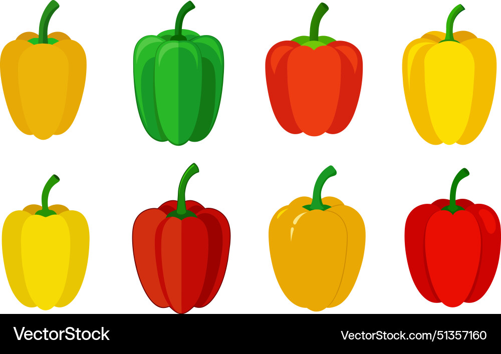 Bell pepper Royalty Free Vector Image - VectorStock