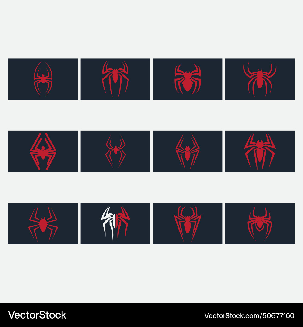 Collection of spider Royalty Free Vector Image