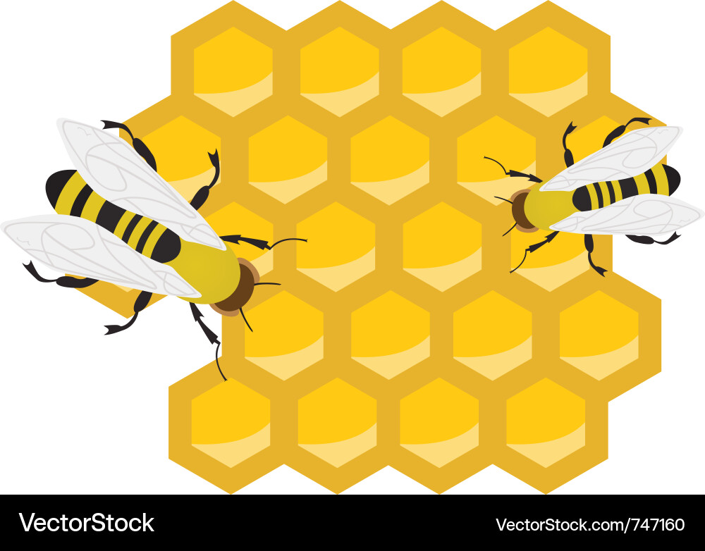 Honeycomb and Bees Royalty Free Vector Image - VectorStock