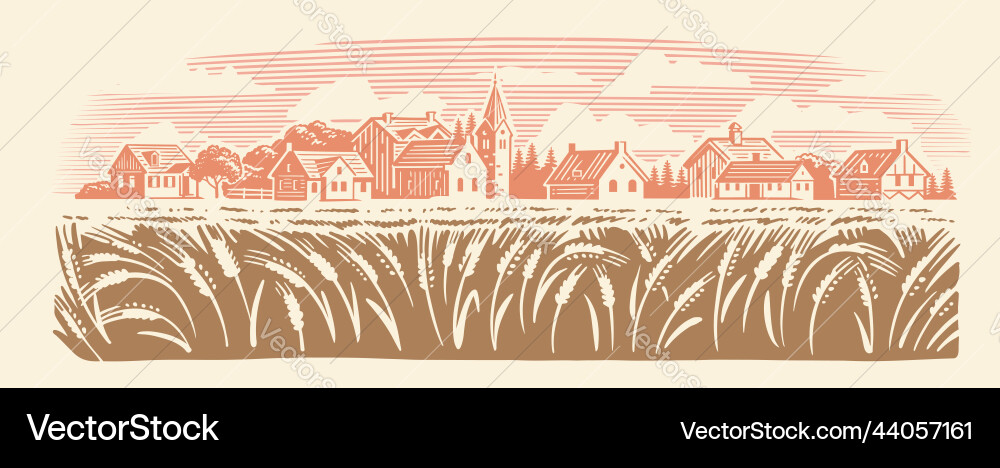 Farm landscape with wheat country and fields Vector Image