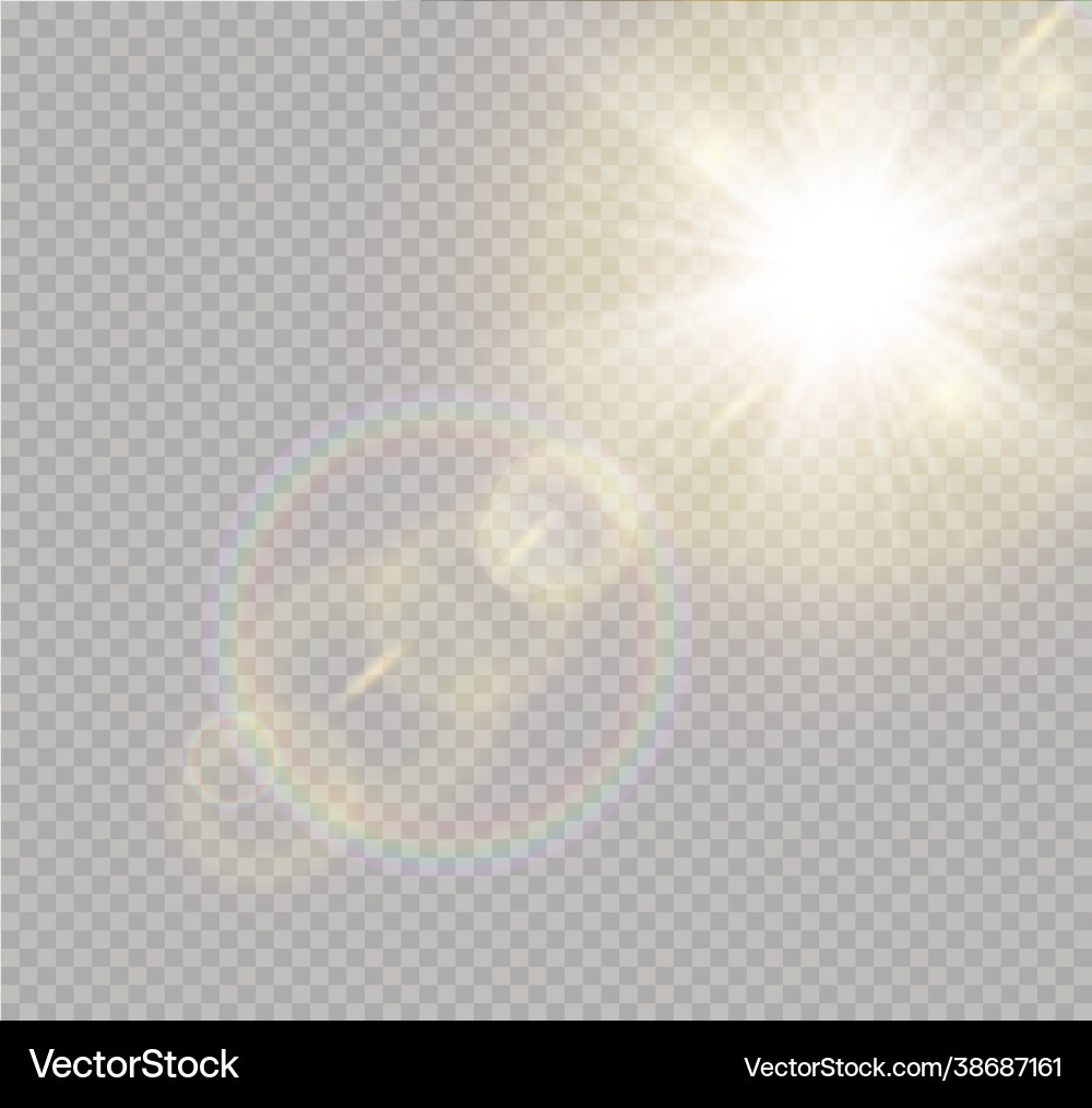 Sunlight special lens flash light effect sun Vector Image