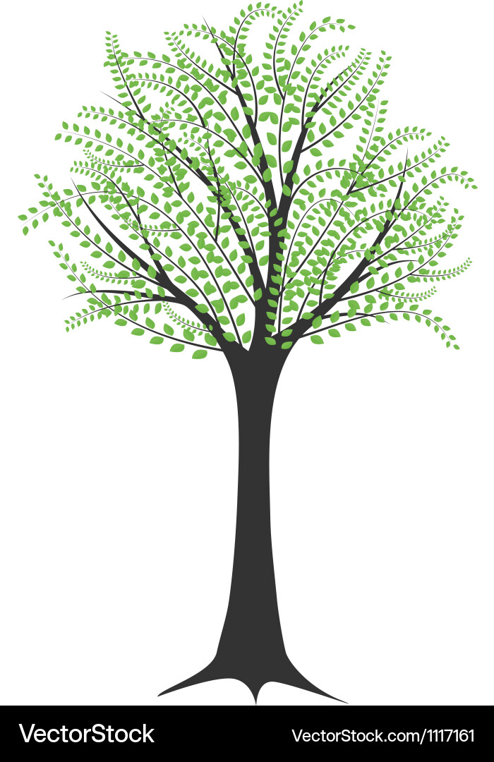 Tree Royalty Free Vector Image - VectorStock