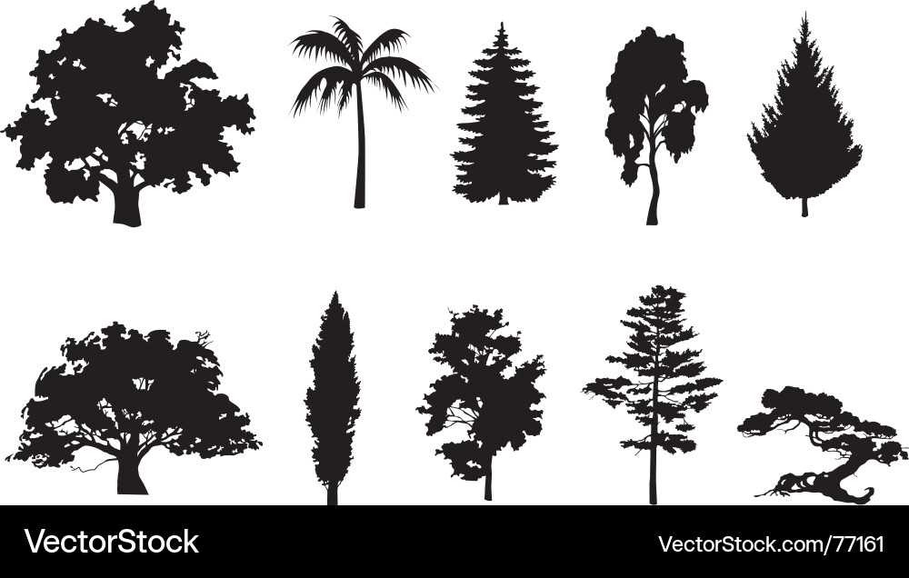 Trees set Royalty Free Vector Image - VectorStock