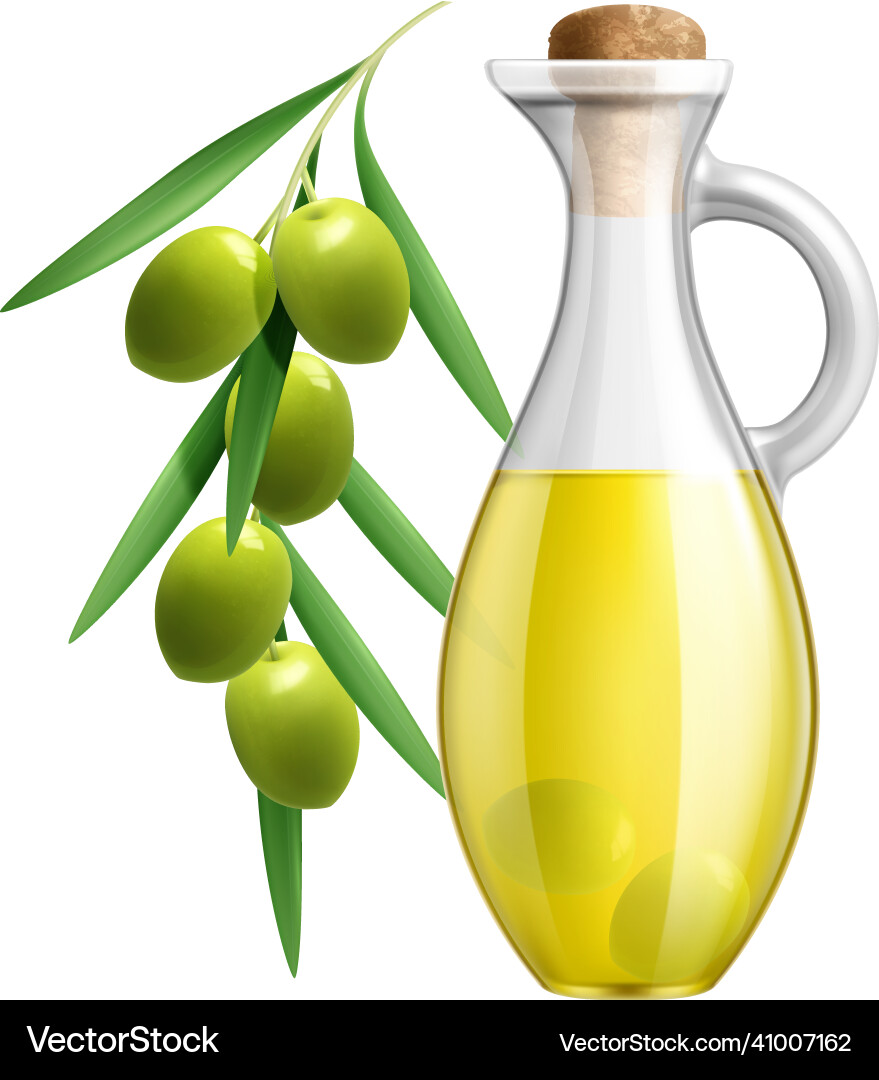 Olive oil Royalty Free Vector Image - VectorStock
