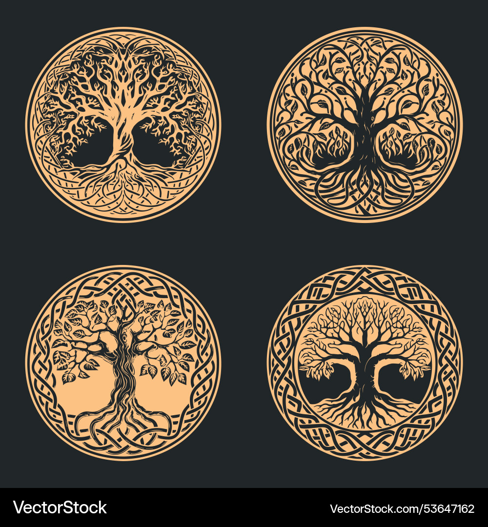 Set of celtic tree life decorative Royalty Free Vector Image