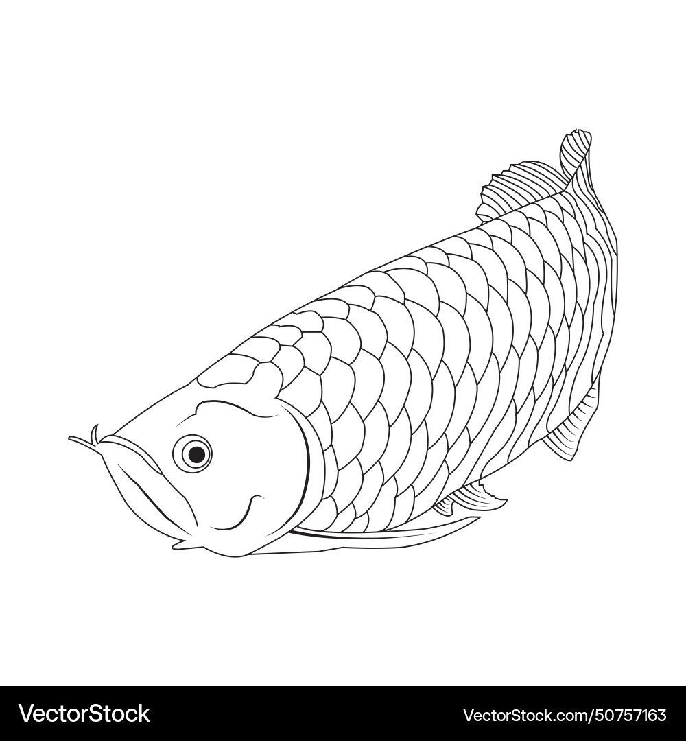 Arowana fish icon Royalty Free Vector Image - VectorStock