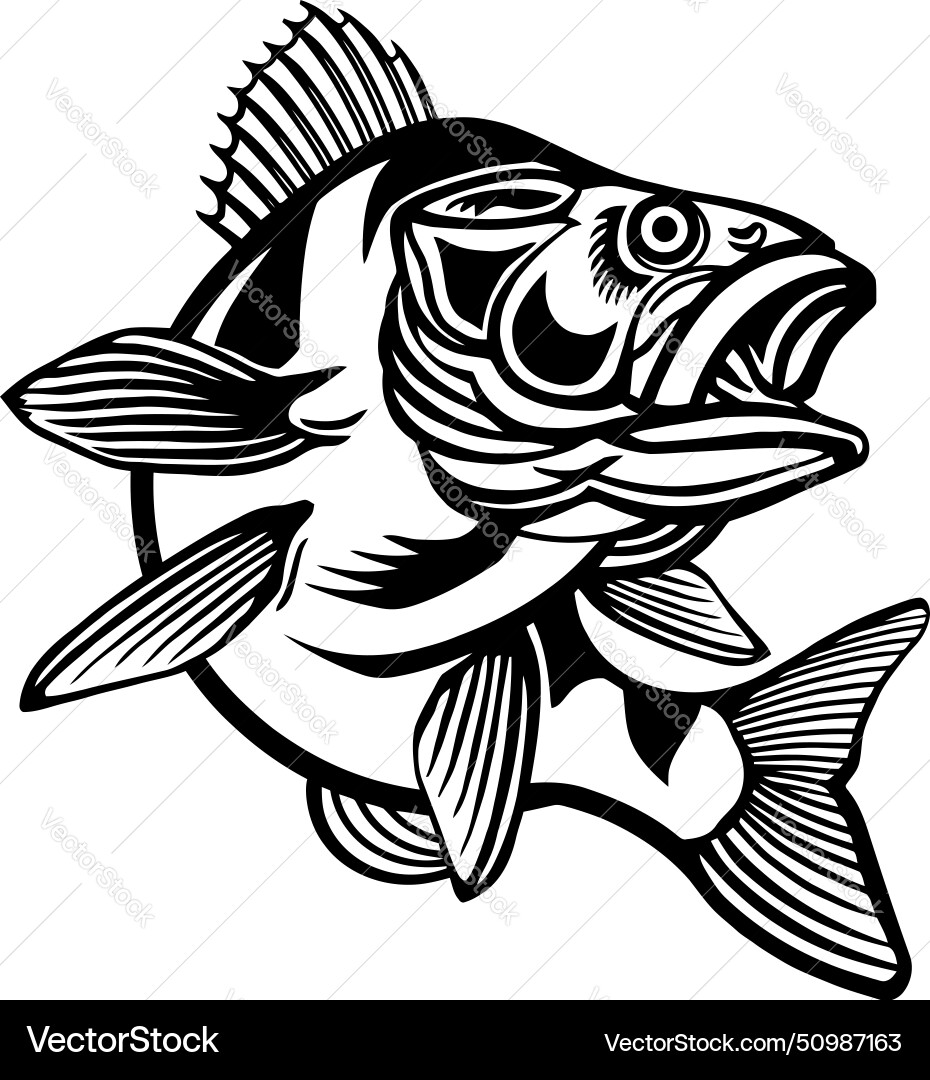 Perch - american fishes logo fish Royalty Free Vector Image