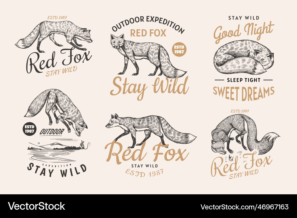 Red fox badges set forest ginger wild animal Vector Image