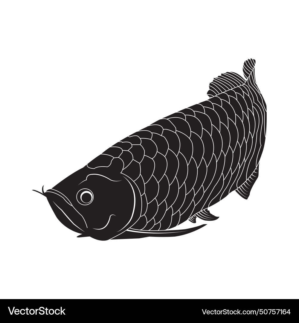 Arowana fish icon Royalty Free Vector Image - VectorStock