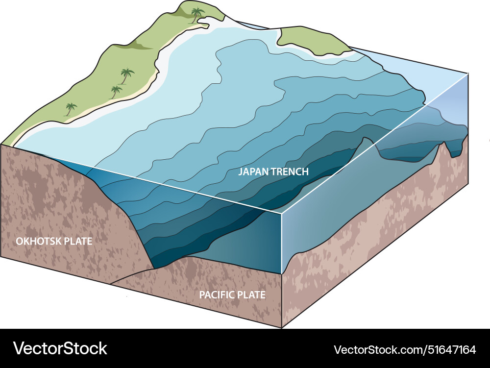 Japan trench diagram Royalty Free Vector Image
