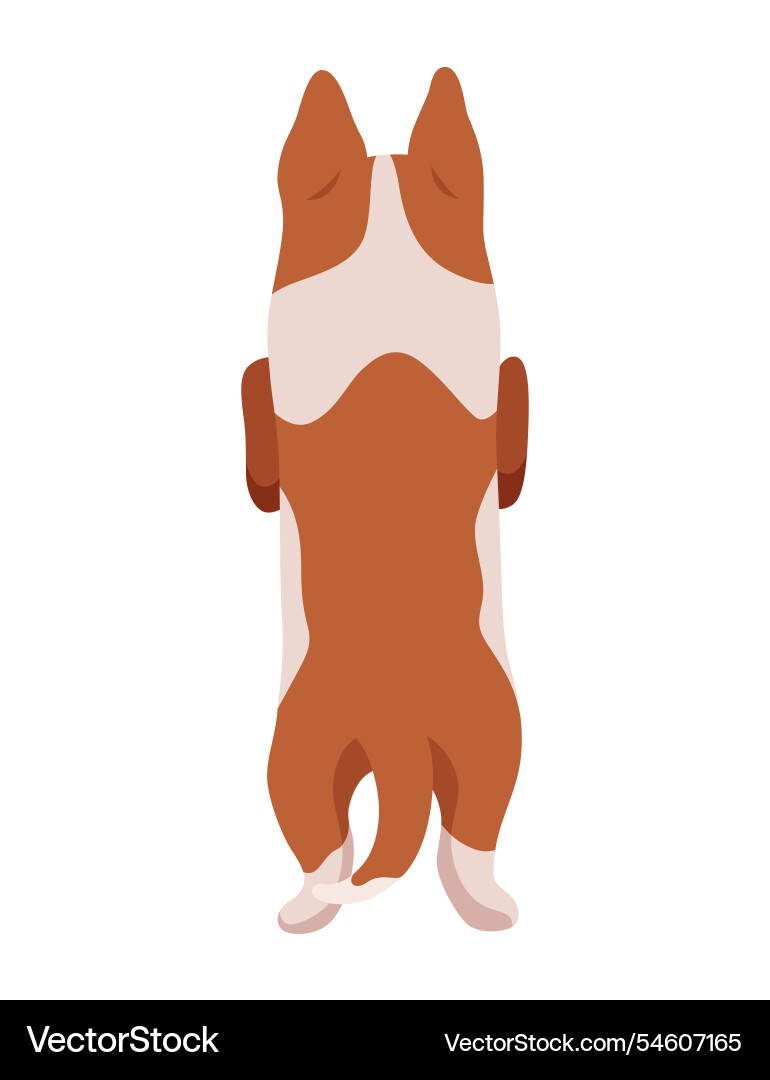 Dog hanging on border full body back view flat Vector Image