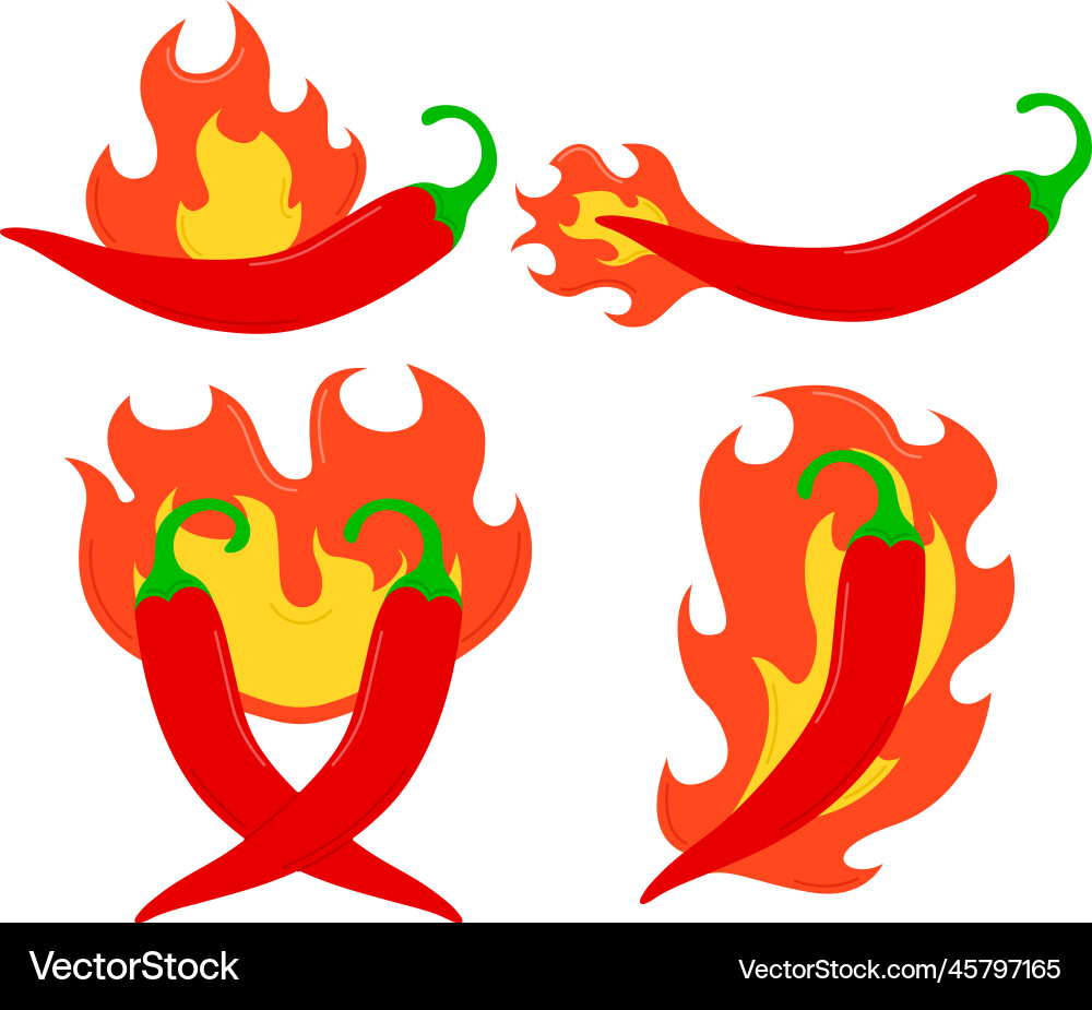 Hot peppers Royalty Free Vector Image - VectorStock