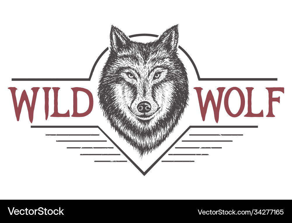 Wild wolf Royalty Free Vector Image - VectorStock