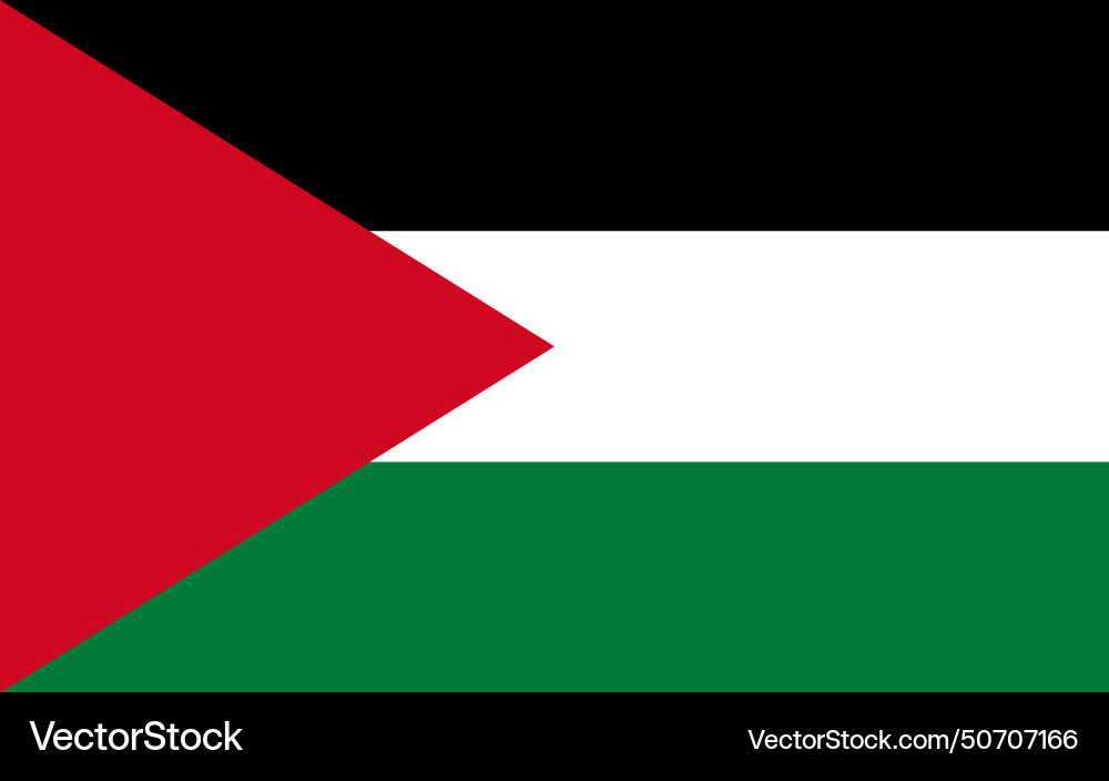 Palestinian flag simple design Royalty Free Vector Image