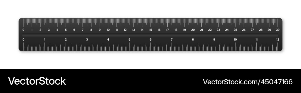 Realistic plastic ruler with measurement scale Vector Image