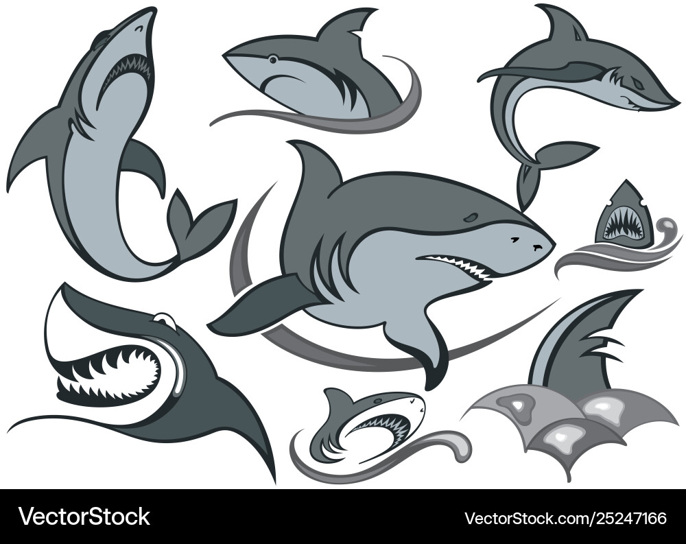 Sharks Royalty Free Vector Image - VectorStock