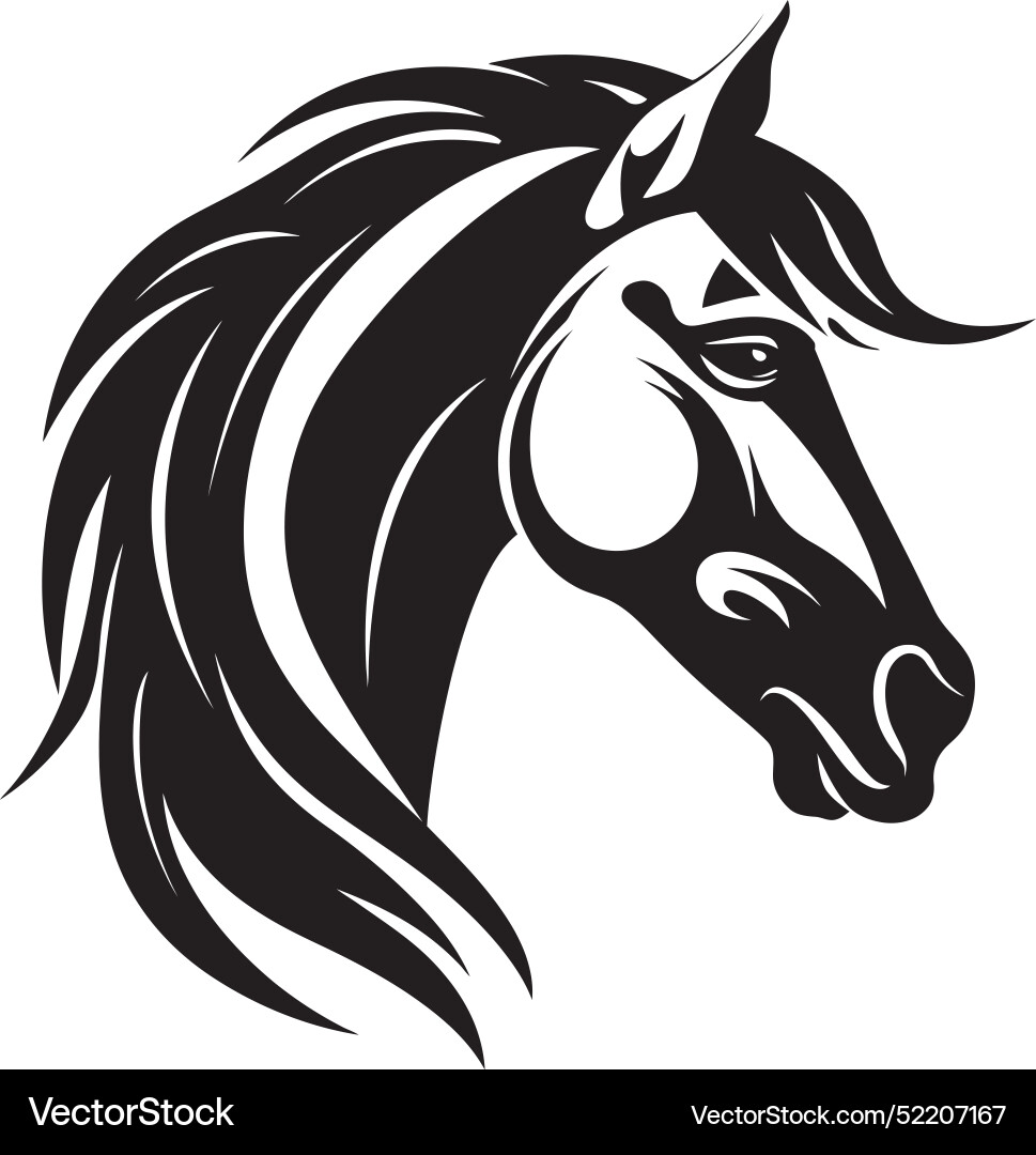 From colt to champion raising a winning show Vector Image