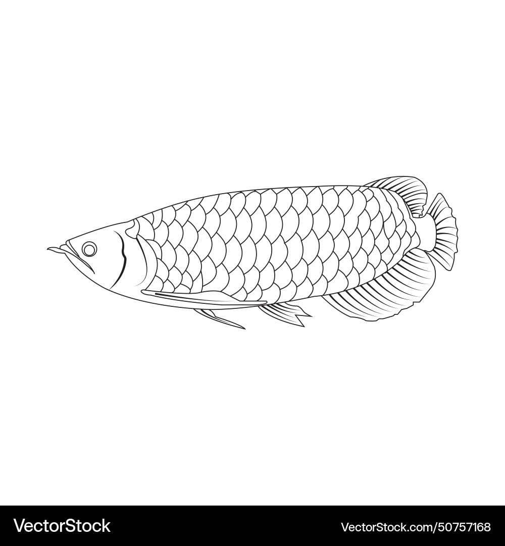 Arowana fish icon Royalty Free Vector Image - VectorStock